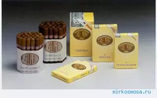 Cigars - Interpretació dels somnis Hasse