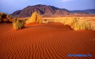 Kas svajoja apie dykumos kilnus svajones Grishina, o tai reiškia svajonę, kurioje dykuma svajojo 40654_1
