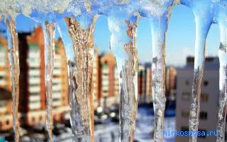 icicles - deniz lynn deniz (ລາຍລະອຽດ)