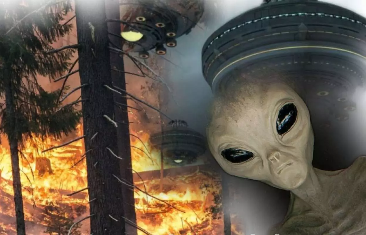 Ufo, जुन Komerrovo मा जलिरहेको पाना जंगल माथि देखा पर्यो, भिडियो मा गोली लागी थियो