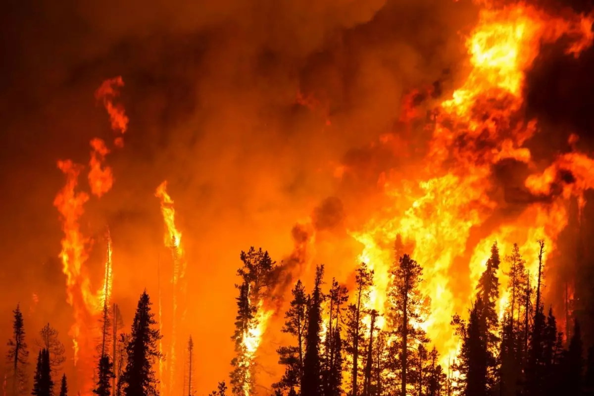 No Cazaquistão, o colapso do OVNI causou um incêndio no Parque Nacional