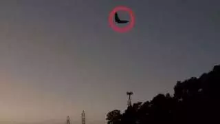 UFO-Butterfly fluturoi mbi shtetet e Ohajo dhe Kentucky