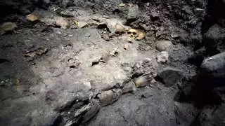 On the territory of the reserved zone of Mexico City, the wall of the Human skulls of Aztec times