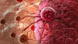 Нов метод за борба против онкологија: трансформација на клетките на ракот во здрава