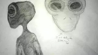 Ullakan Alien mör-möjek öýüne Amerikada öýüne gaçdy