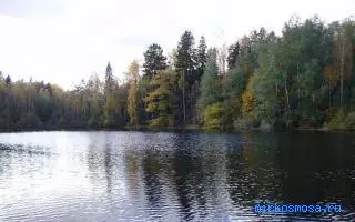 Jaké sny o jezeře intimní sen knihy Vlasova, což znamená sen, ve kterém snilo jezero