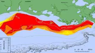 A costa dos Estados Unidos descobriu um gigantesco