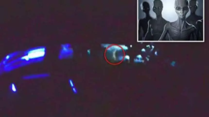 Οι Ufologists ανακάλυψαν πίσω από τα δέντρα προσγειώθηκαν πλάκα με το Aliel μέσα