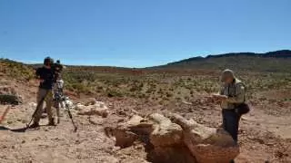 Paleontologoj elfositaj en argentina dinosaŭra grandeco