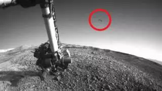 Ufologen raakten geïnteresseerd in een vogel op Mars