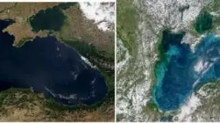 O Mar Negro não é mais preto