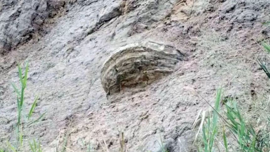 Saratov Geologist találtak egy petrifit UFO-t a Volga partján