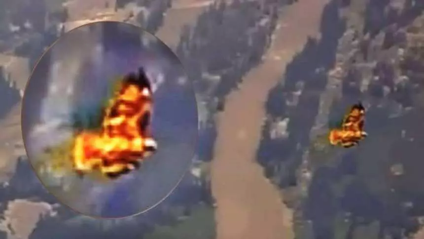 Negli Stati Uniti "Fire Birds" caddero sulla telecamera vicino al parco chiuso
